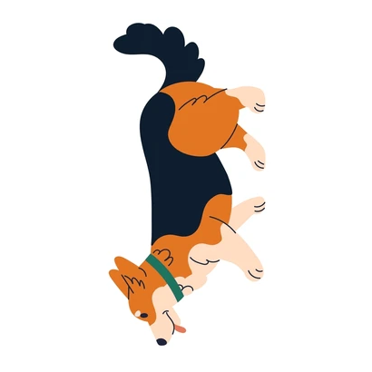 RE: routine onboard interpretation system Compass maintenance